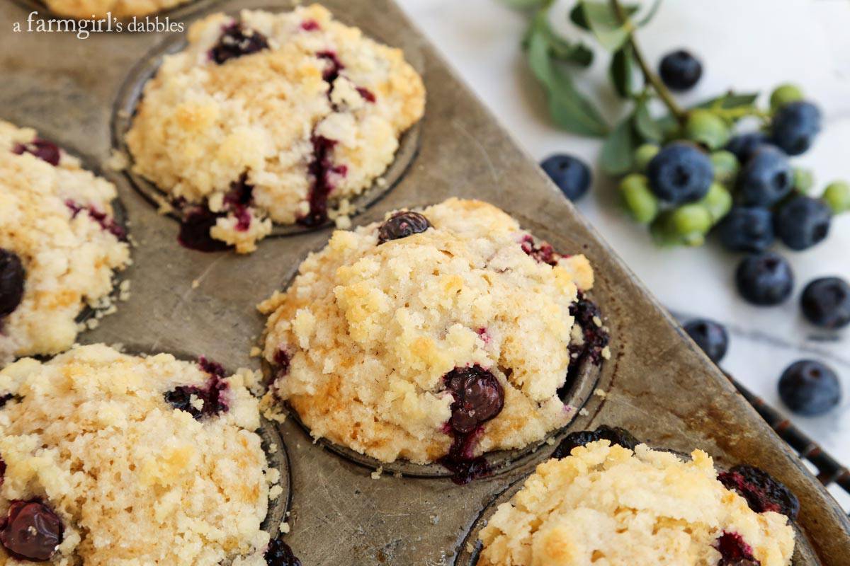 Grandma Renelt's Blueberry Muffins with Crumble Topping • a farmgirl's ...