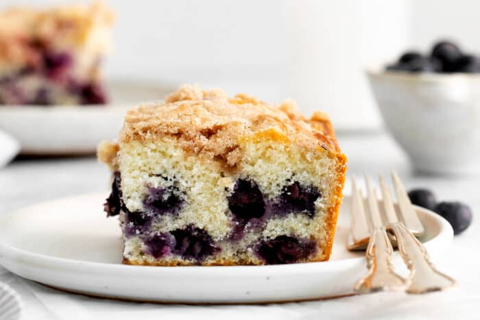 Easy Blueberry Tea Cake Recipe l A Farmgirl's Dabbles