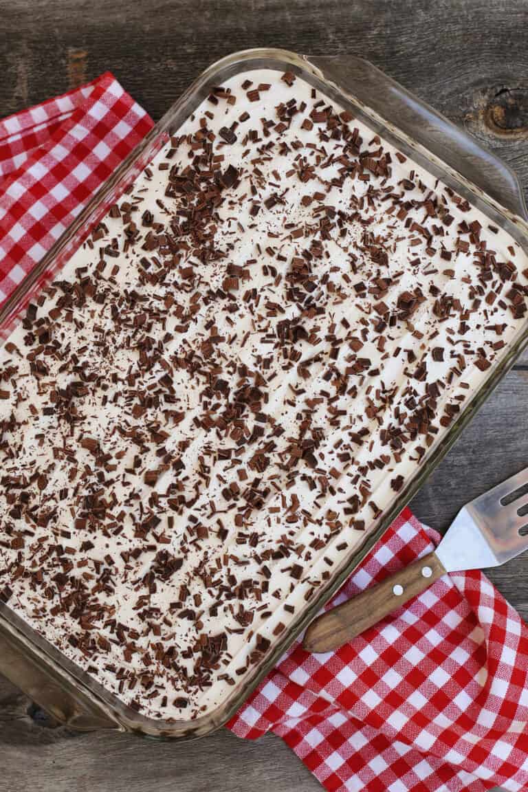 Layered Chocolate Pudding with Pecan Crust | A Farmgirl's Dabbles