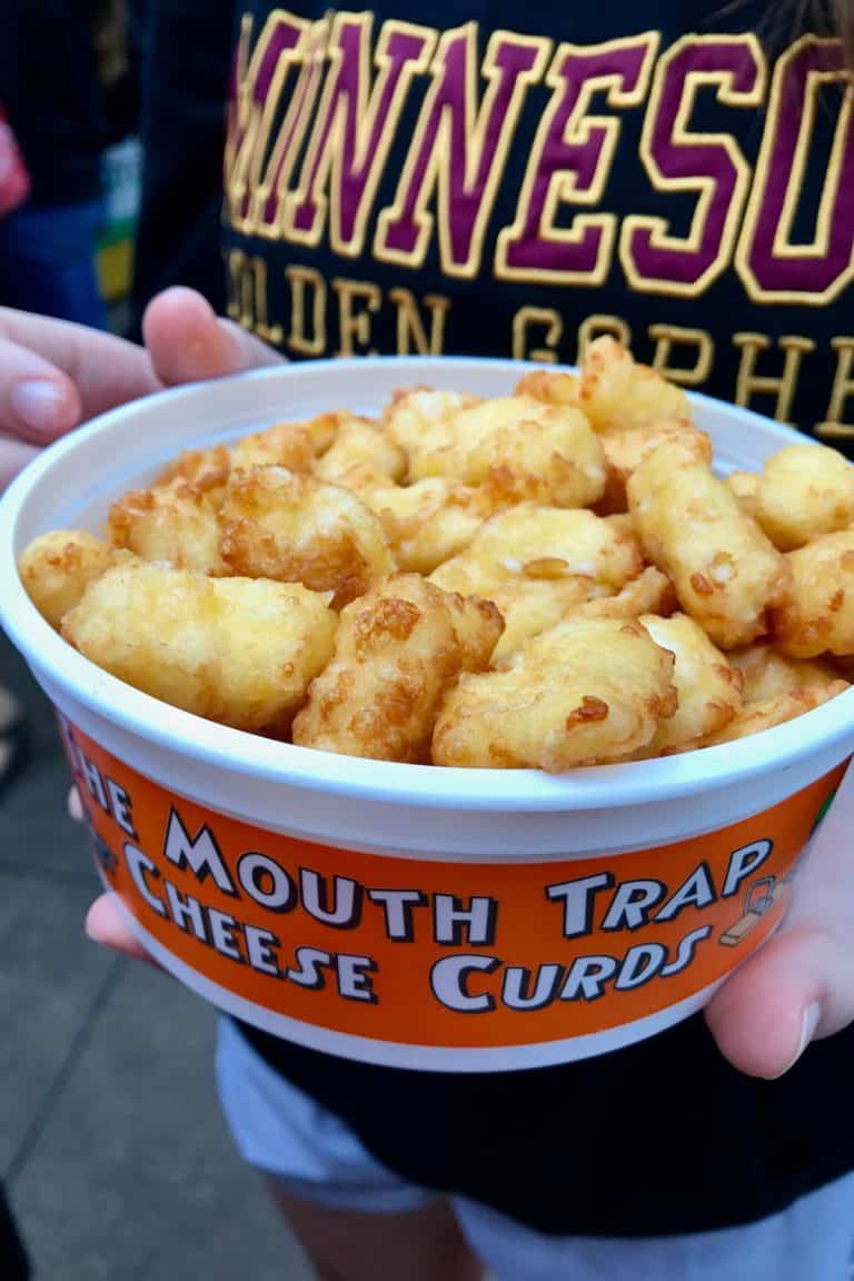 Best Minnesota State Fair Food and Drink - A Farmgirl's Dabbles