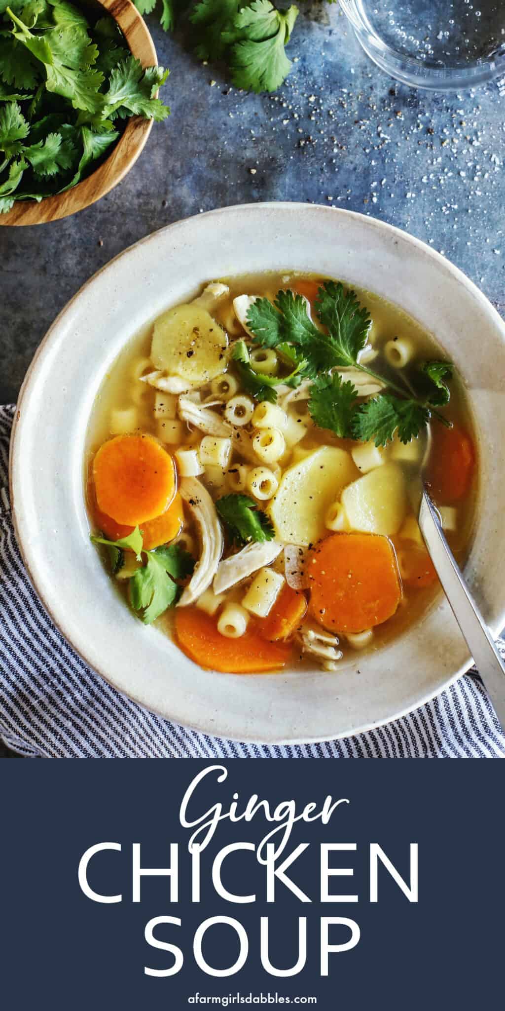 Homemade Ginger Chicken Soup Recipe - The Best Soup for a Cold!