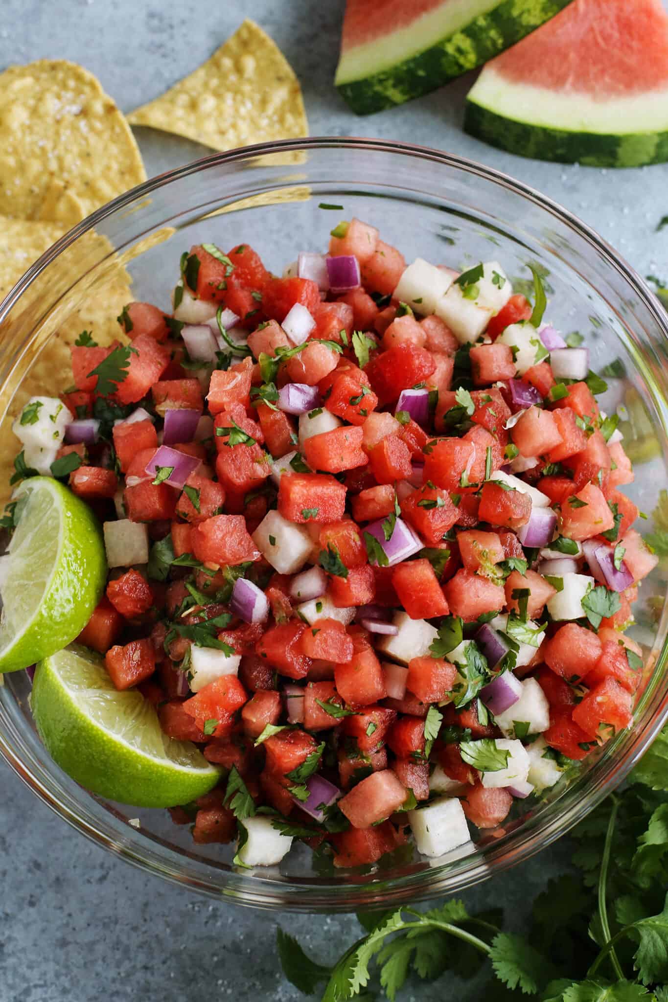Watermelon Salsa l A Farmgirl's Dabbles