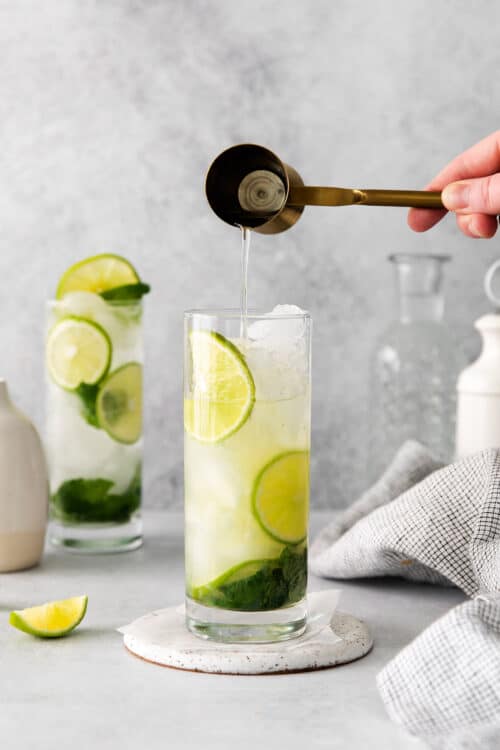 Easy & Refreshing Tequila Mojito l A Farmgirl's Dabbles