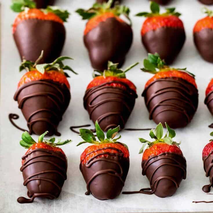Easy Chocolate Covered Strawberries l A Farmgirl's Dabbles