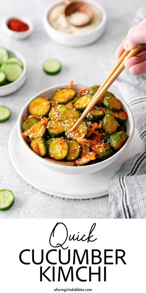 15 Minute Cucumber Kimchi l A Farmgirl's Dabbles