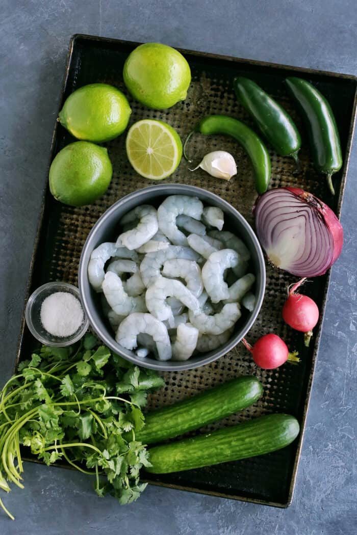 Easy Shrimp Aguachile Recipe l A Farmgirl's Dabbles