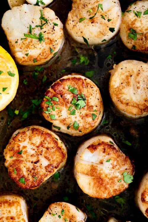 The Best Pan Seared Scallops l A Farmgirl's Dabbles