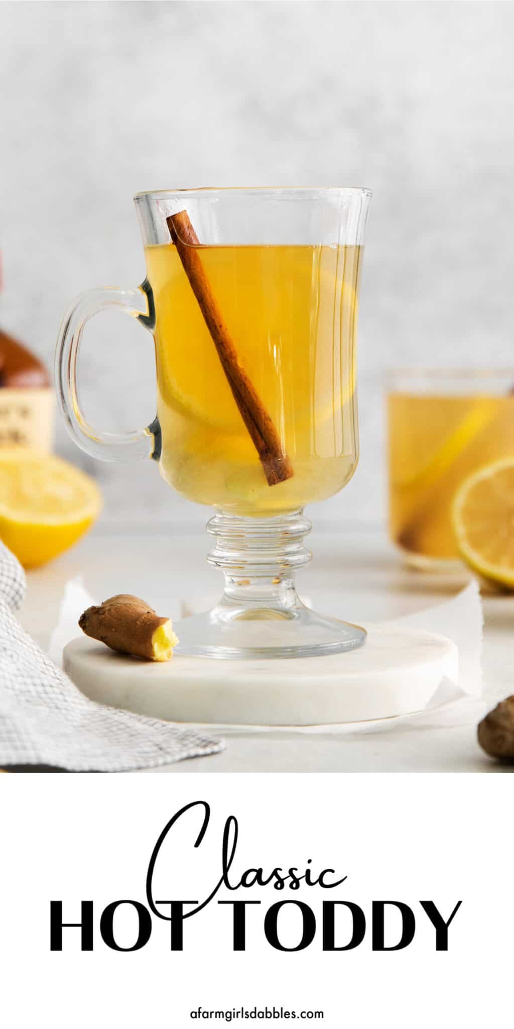 Classic Hot Toddy Recipe l A Farmgirl's Dabbles