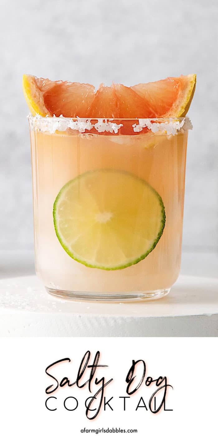Easy Salty Dog Cocktail (3 Ingredients!) l A Farmgirl's Dabbles