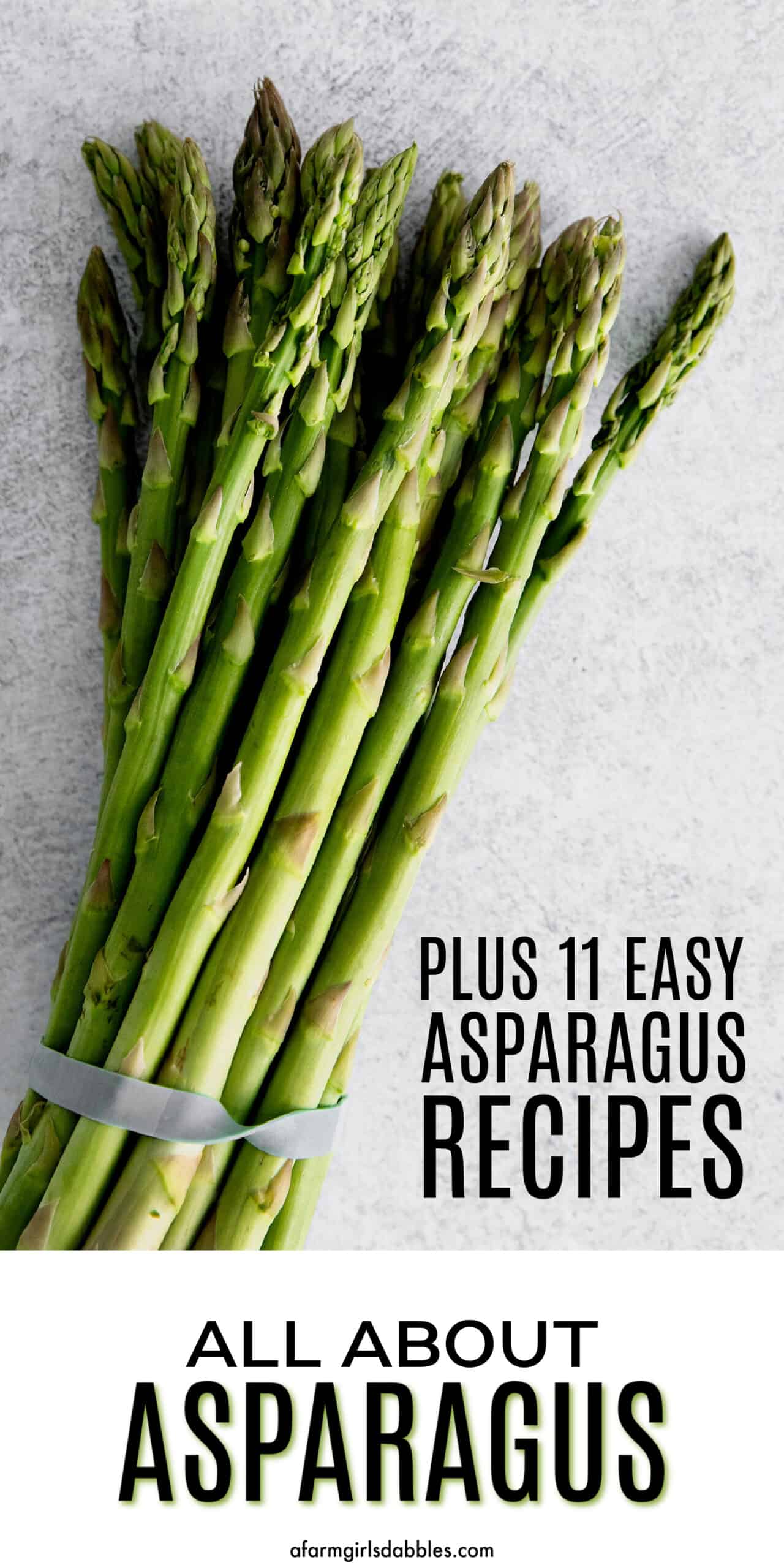 All About Asparagus (Plus 11 Easy Asparagus Recipes!)
