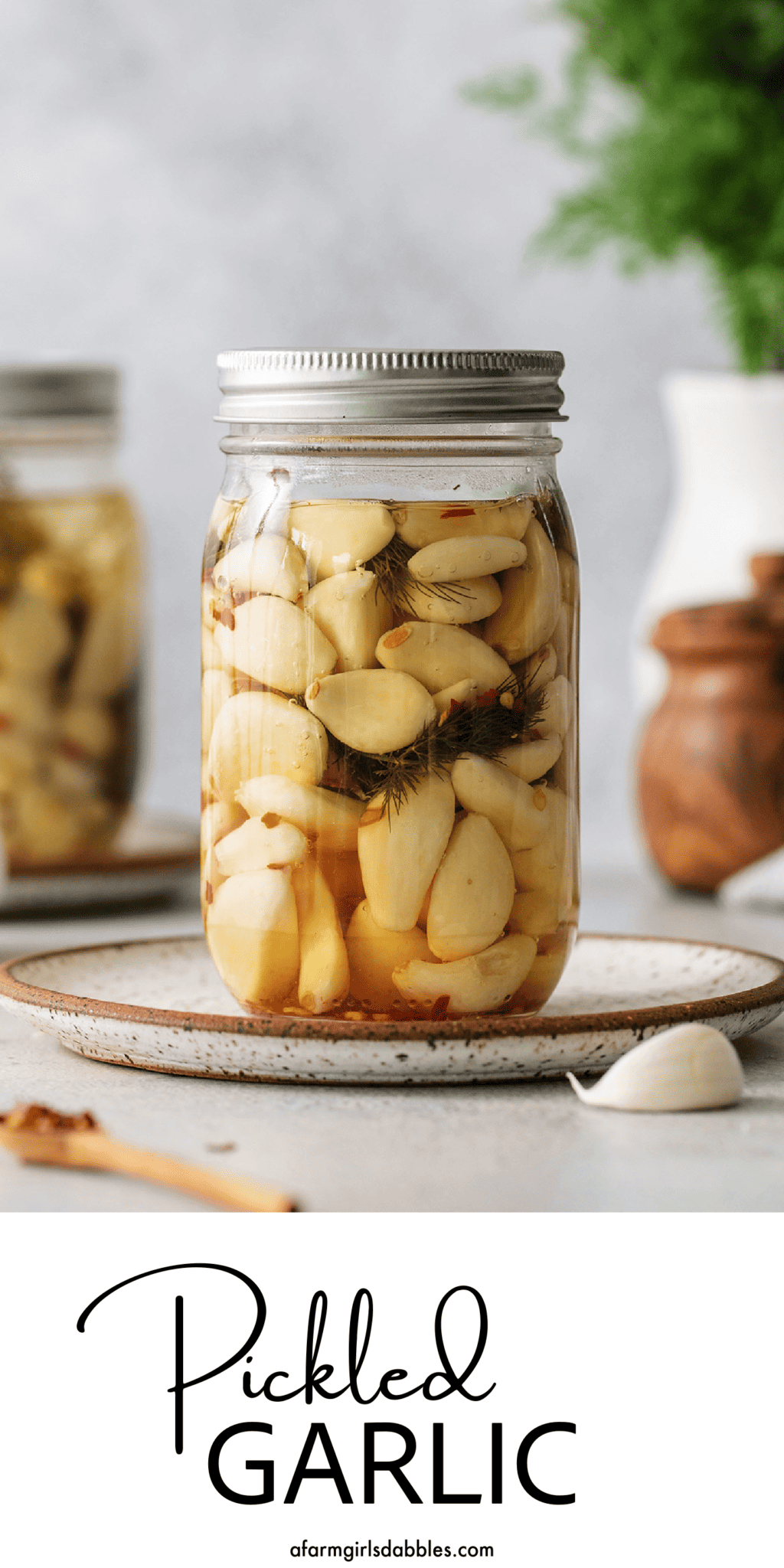 Quick & Easy Pickled Garlic l A Farmgirl's Dabbles