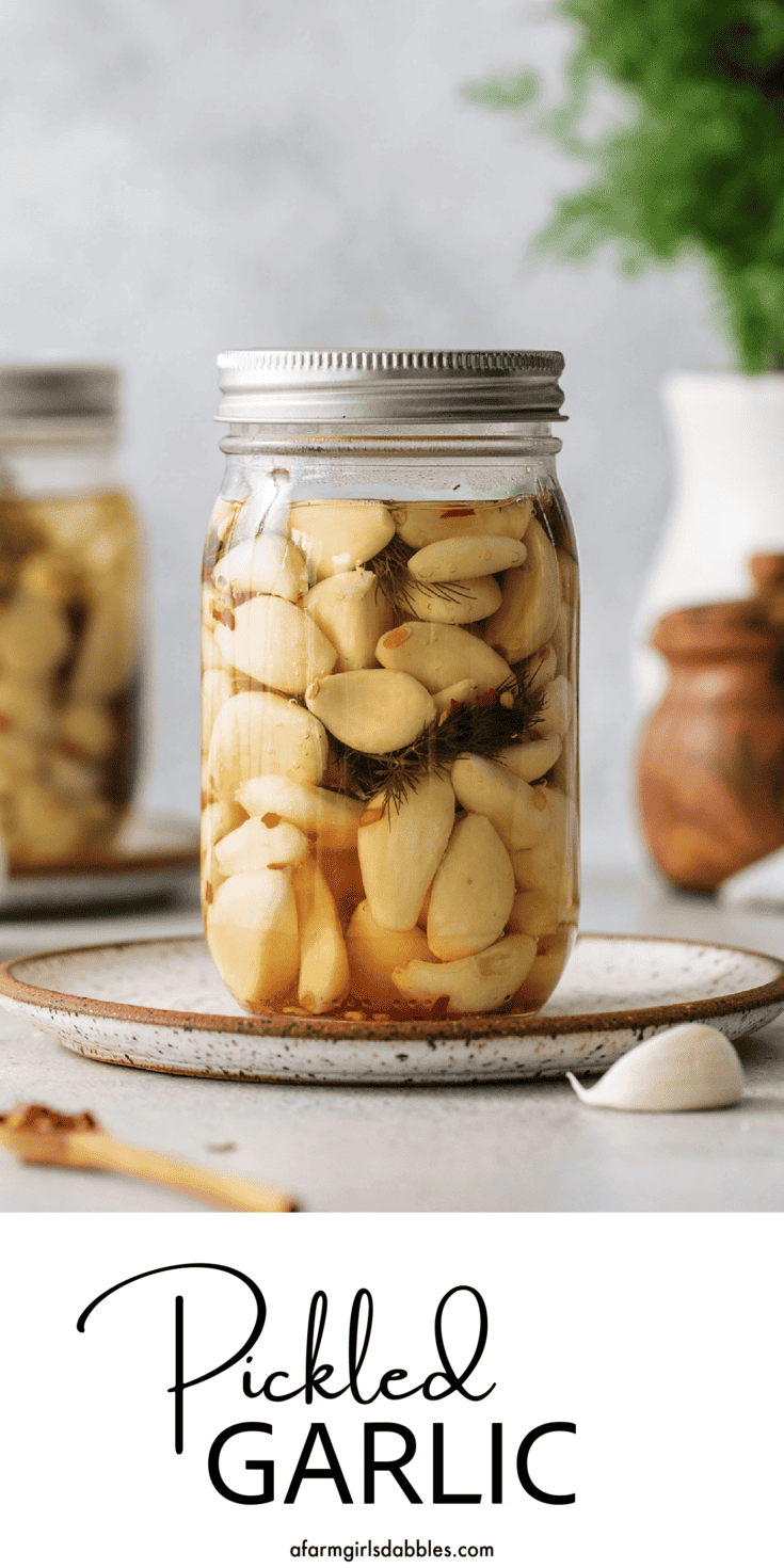 Quick & Easy Pickled Garlic l A Farmgirl's Dabbles