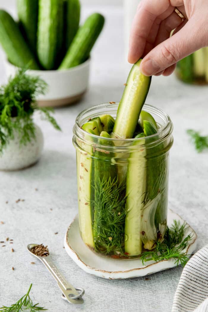Easy Refrigerator Dill Pickles l A Farmgirl's Dabbles