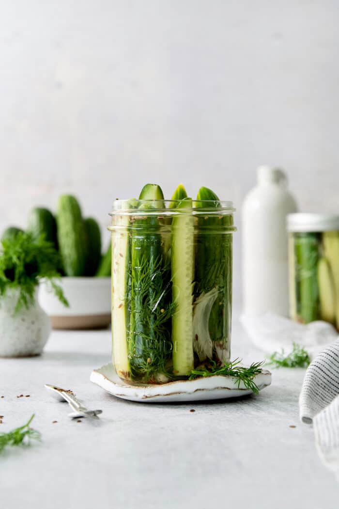 Easy Refrigerator Dill Pickles l A Farmgirl's Dabbles