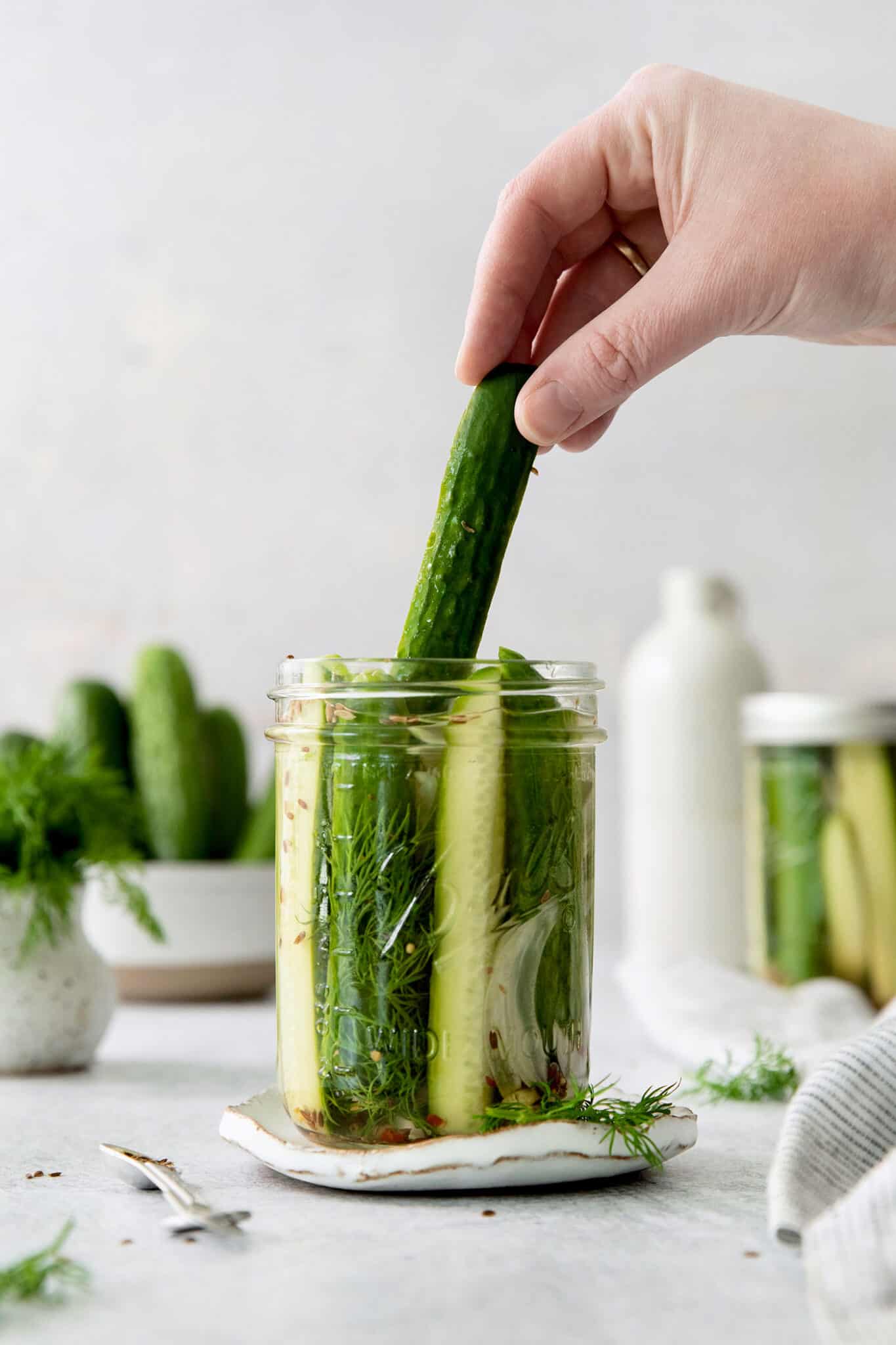 Easy Refrigerator Dill Pickles l A Farmgirl's Dabbles