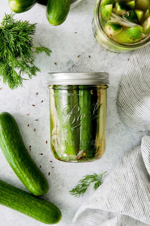Easy Refrigerator Dill Pickles l A Farmgirl's Dabbles
