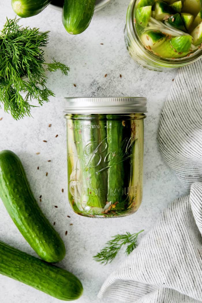 Easy Refrigerator Dill Pickles l A Farmgirl's Dabbles