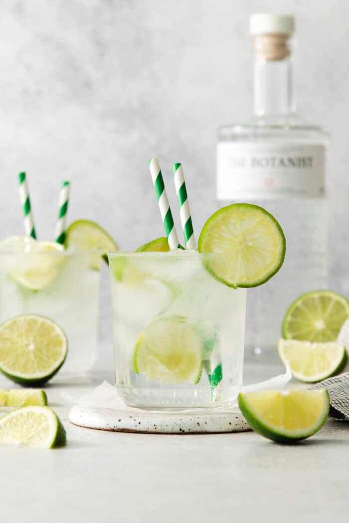 Gin and Tonic | A Farmgirl's Dabbles