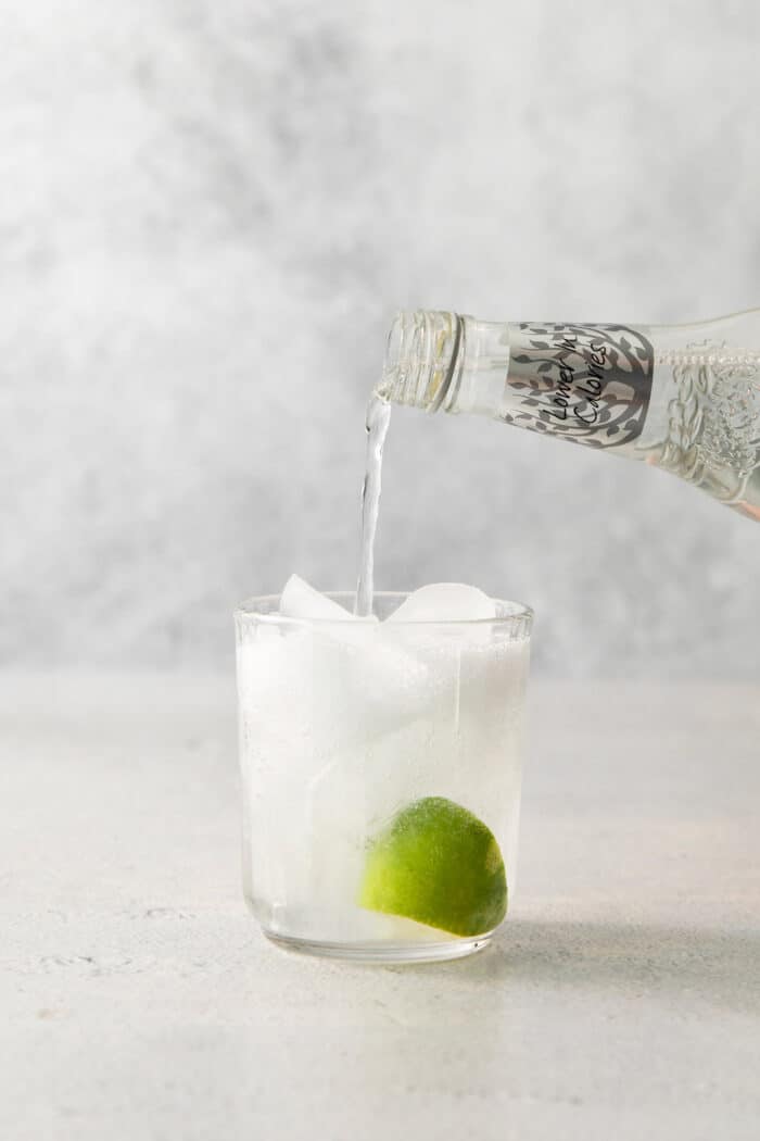 Gin and Tonic | A Farmgirl's Dabbles