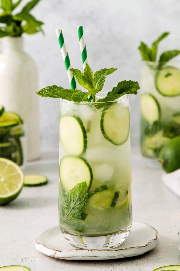 Cucumber Mojito | A Farmgirl's Dabbles