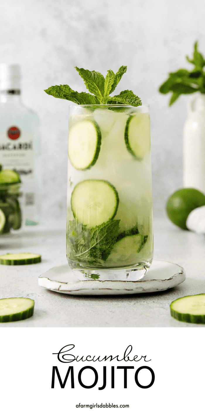 Cucumber Mojito | A Farmgirl's Dabbles