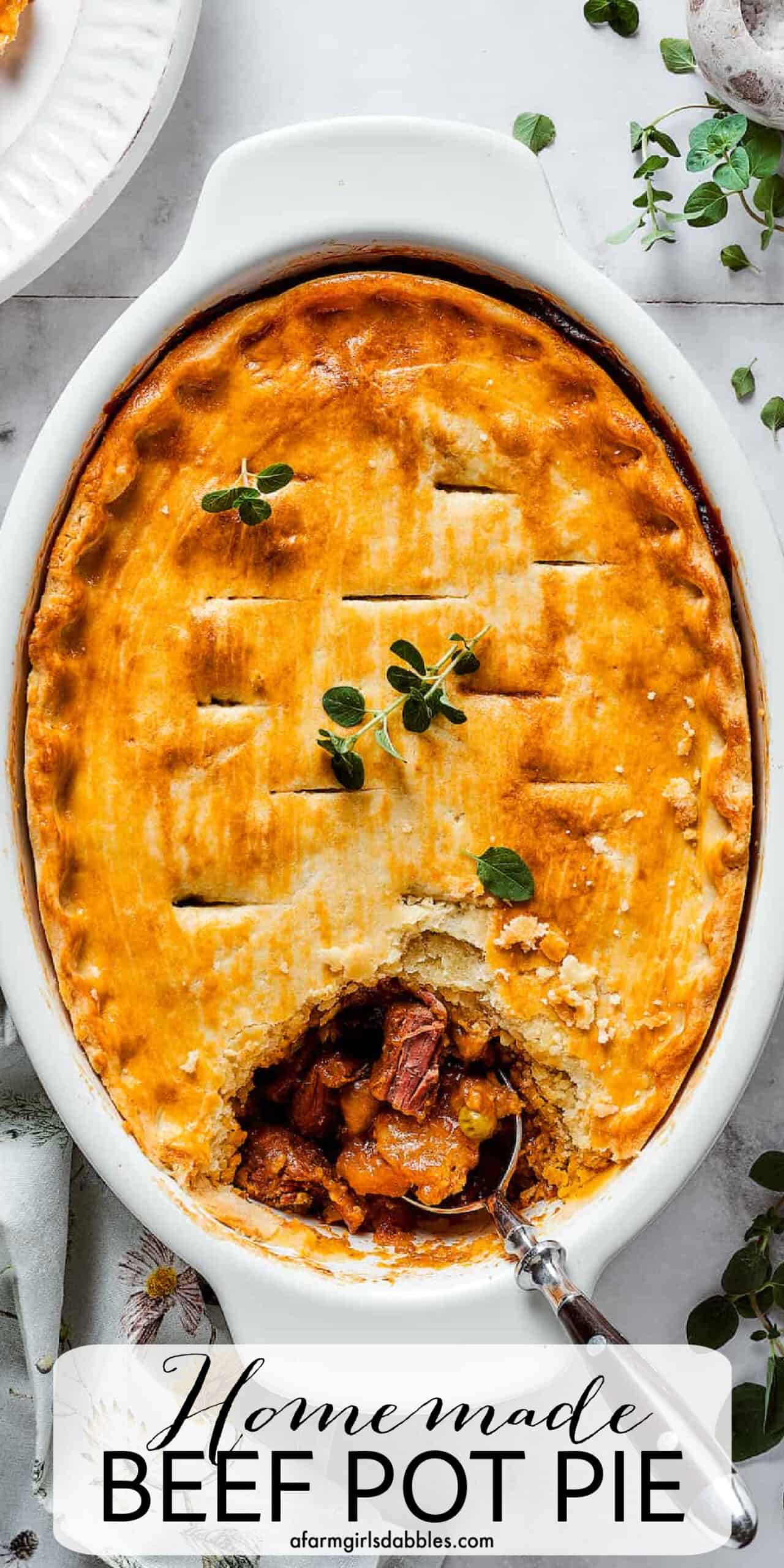 Beef Pot Pie | A Farmgirl's Dabbles