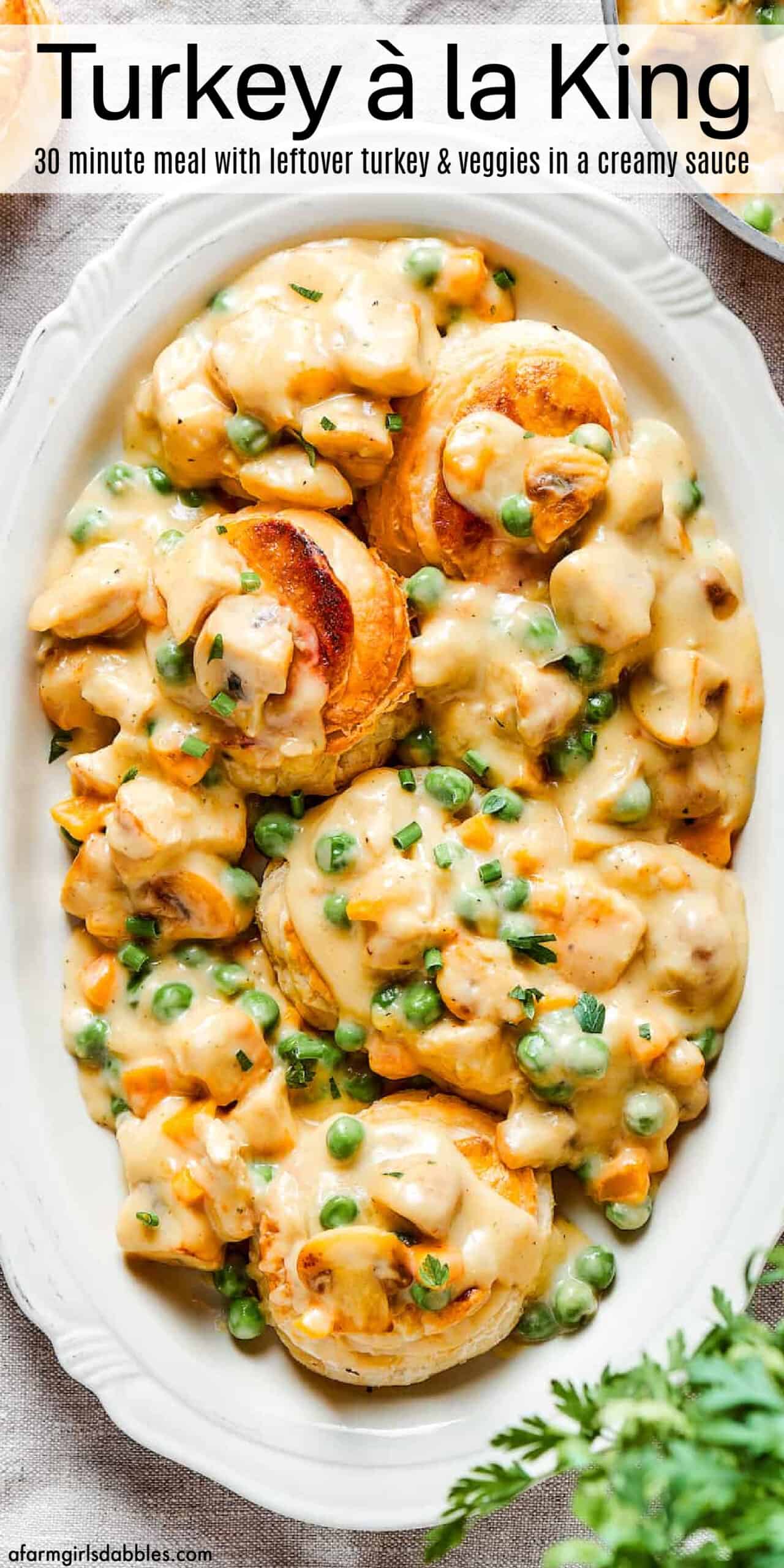 Turkey a La King Recipe | A Farmgirl's Dabbles