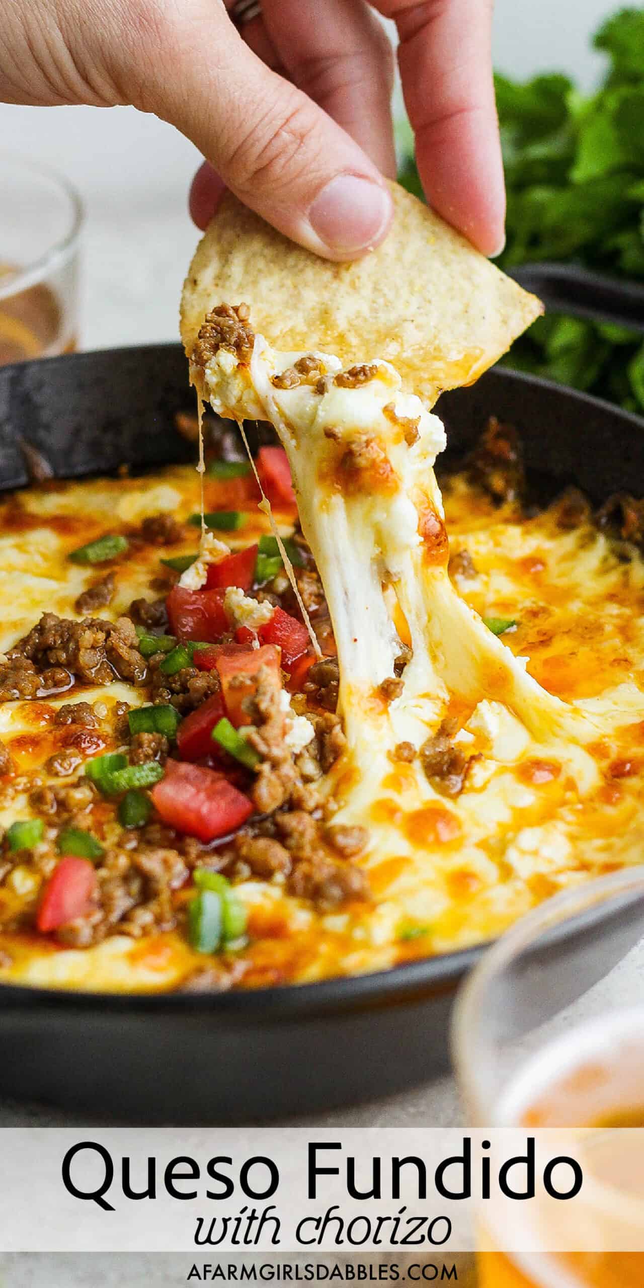Queso Fundido | A Farmgirl's Dabbles