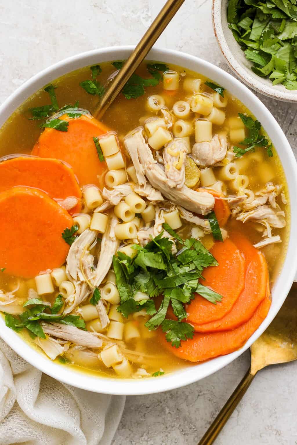 Homemade Chicken Ginger Soup | A Farmgirl's Dabbles