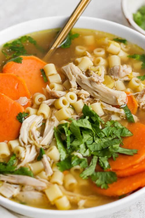 Homemade Chicken Ginger Soup | A Farmgirl's Dabbles