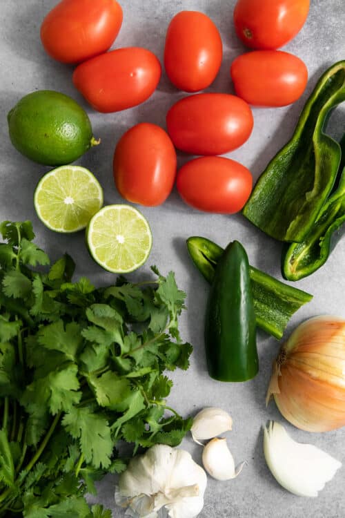 Warm Salsa Recipe (Served Warm!)