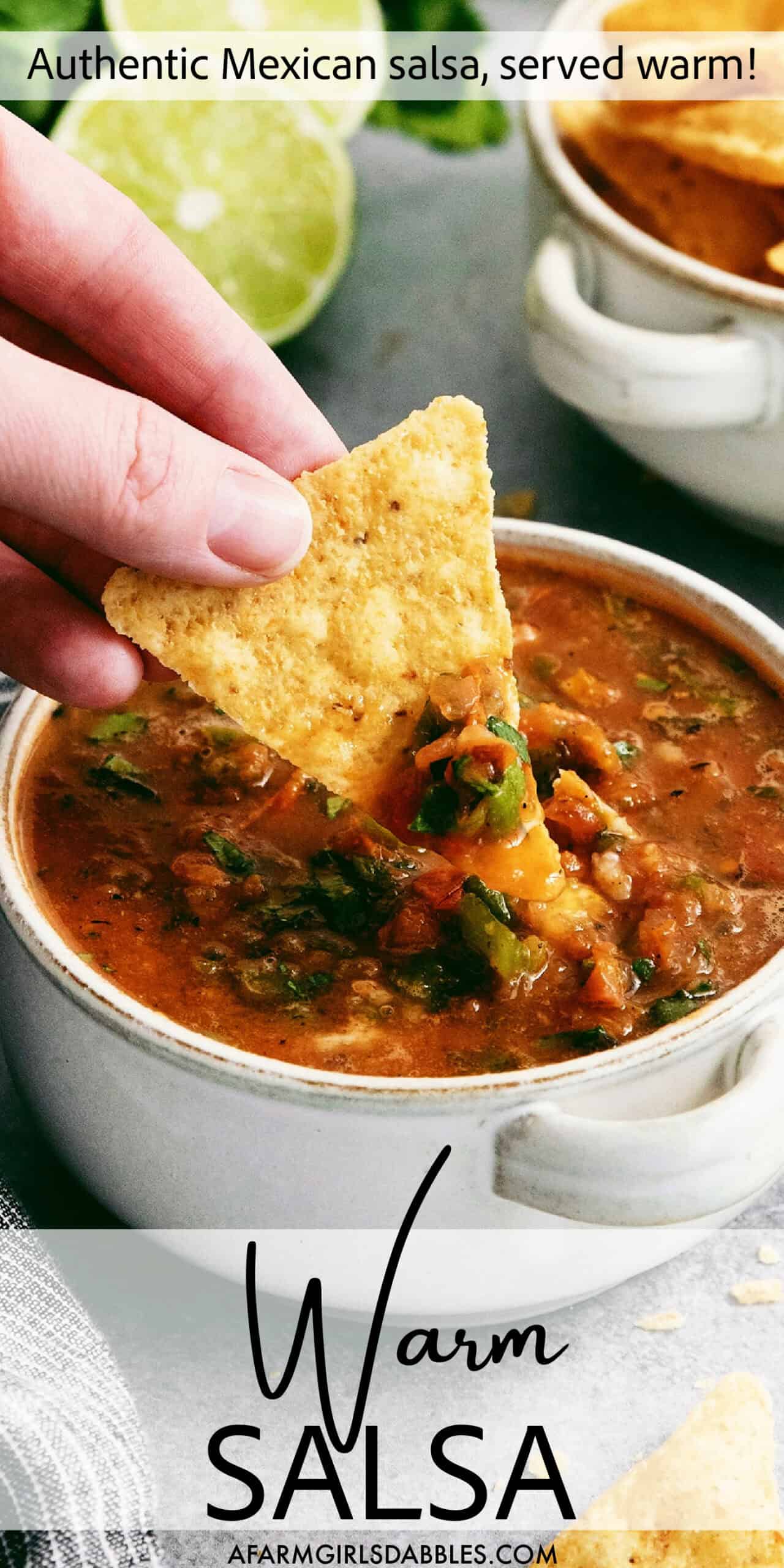 Warm Salsa Recipe (Served Warm!)