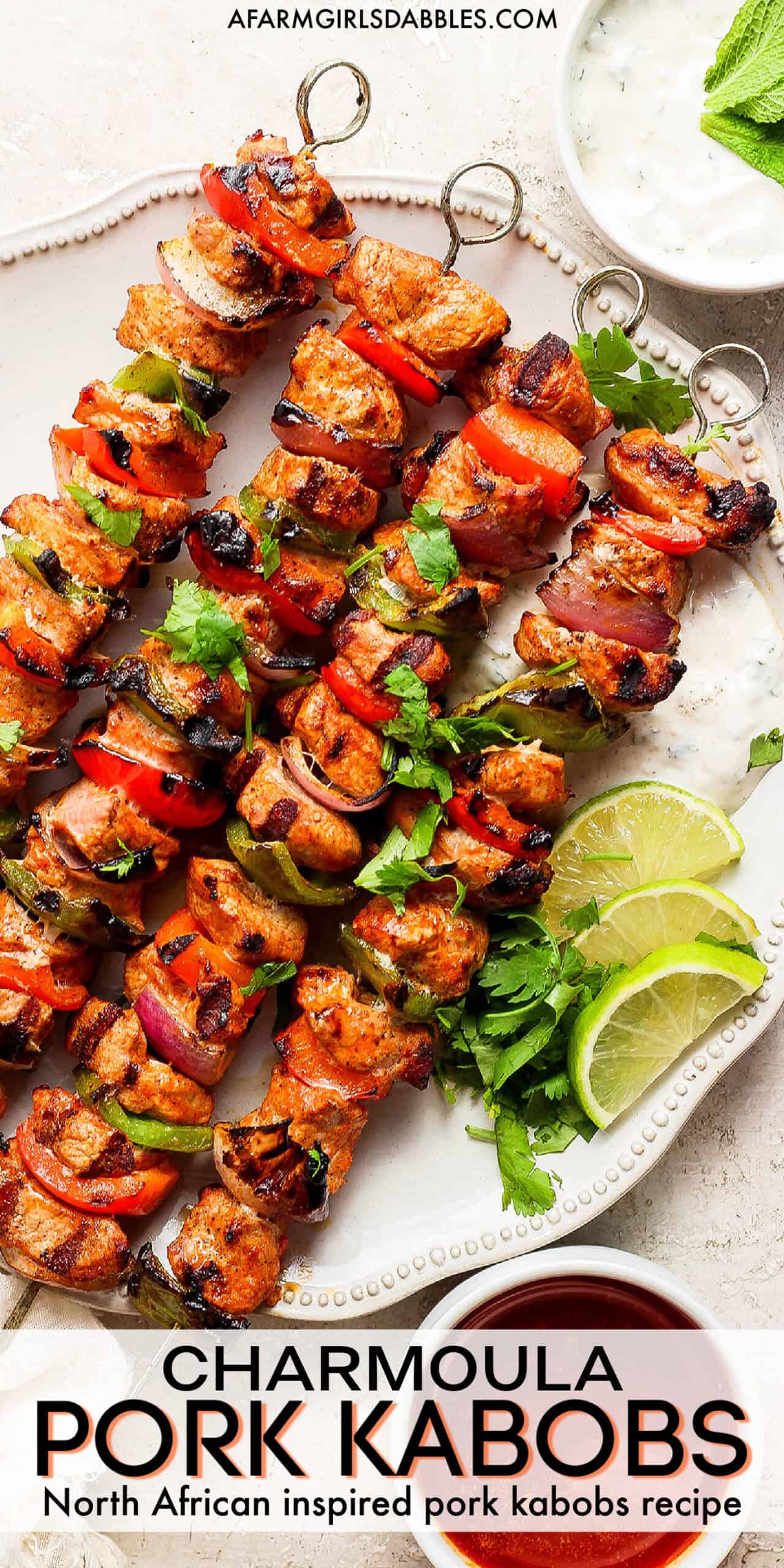 Grilled Charmoula Pork Kabobs (North African Inspired Pork)
