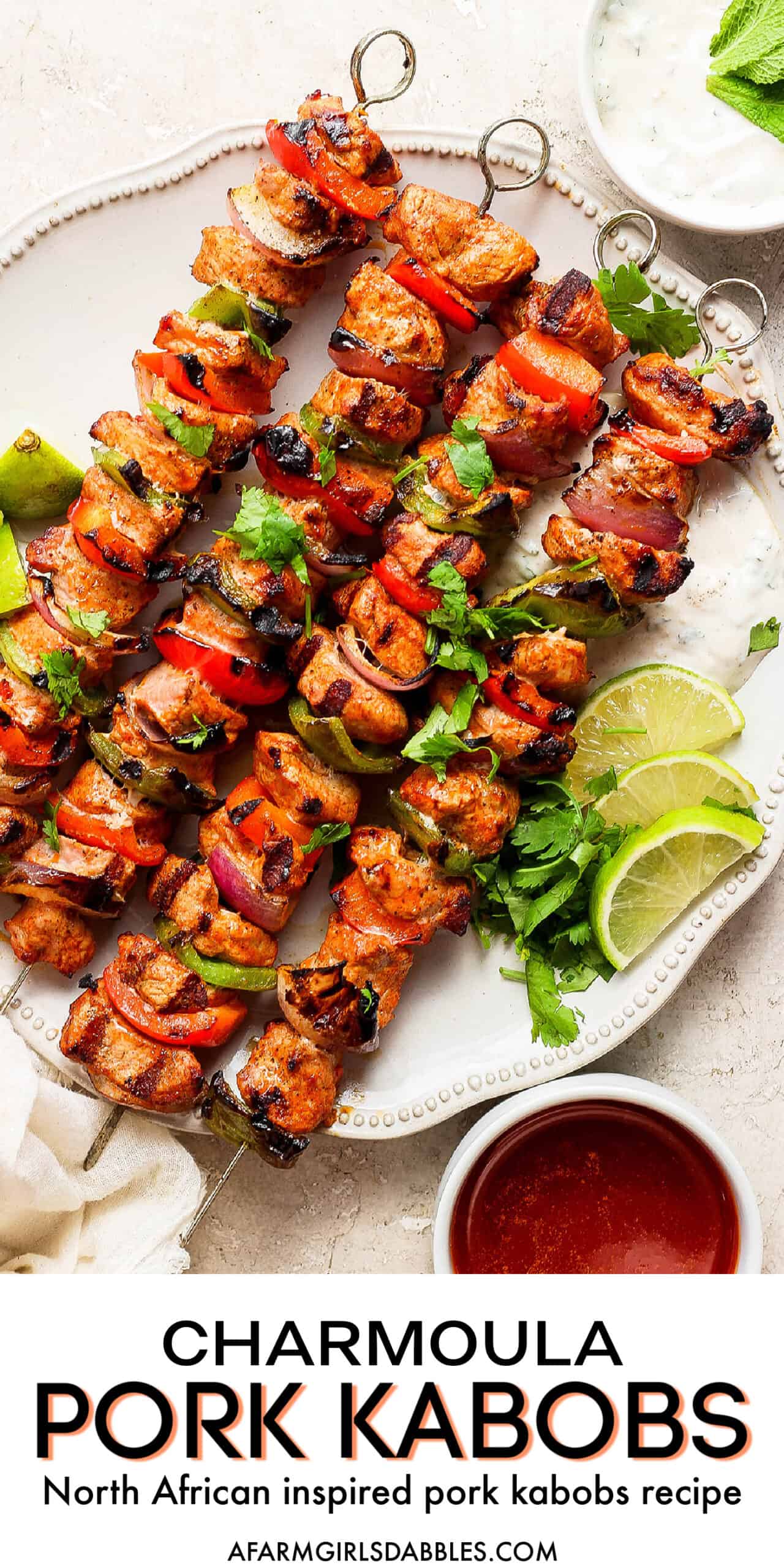 Grilled Charmoula Pork Kabobs (North African Inspired Pork)