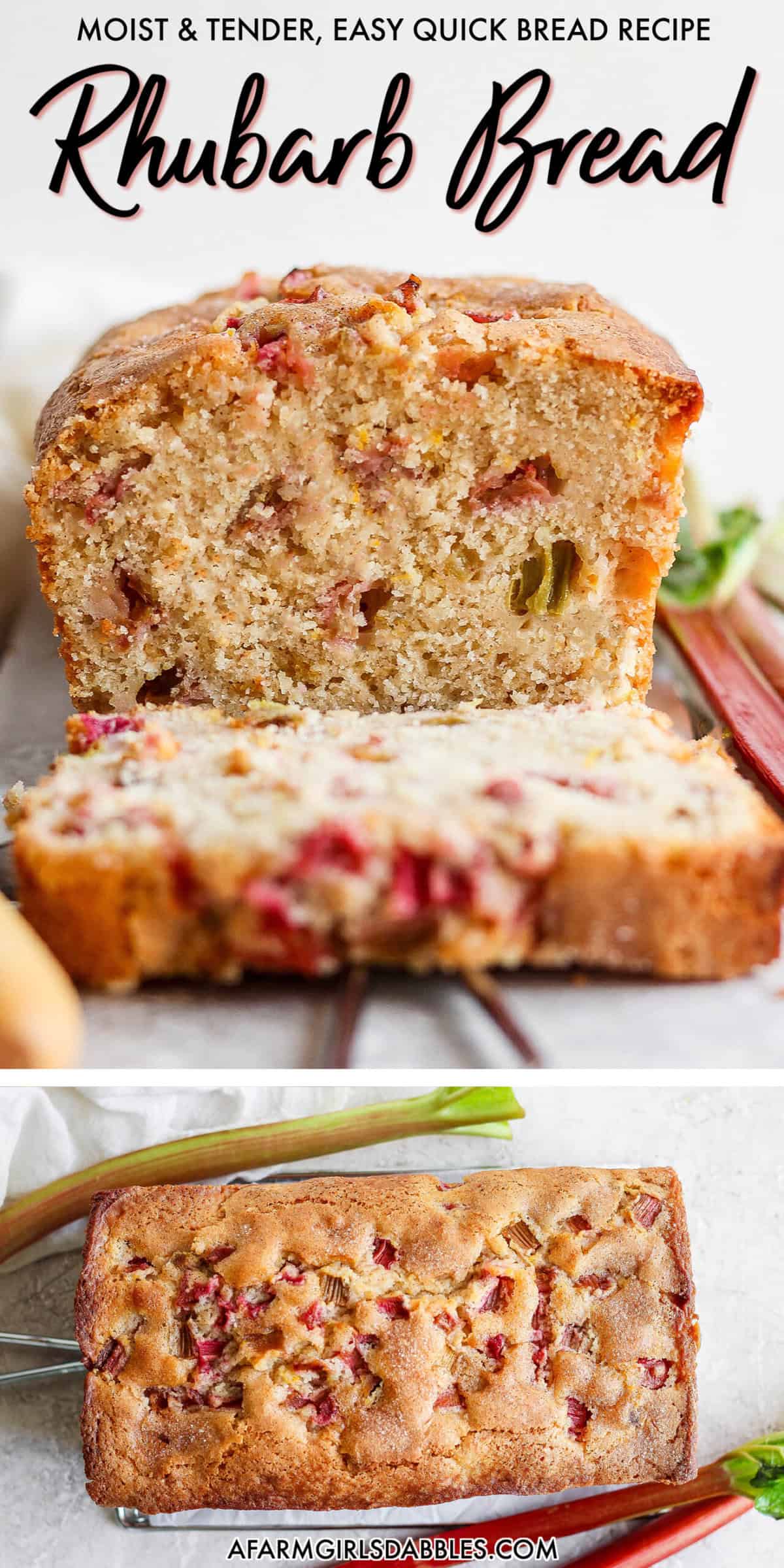 Rhubarb Bread (Easy quick bread recipe!)