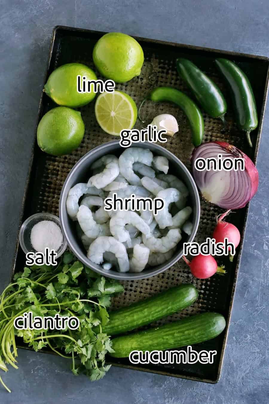 Easy Shrimp Aguachile Recipe l A Farmgirl's Dabbles