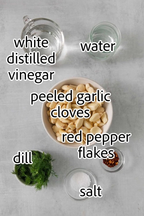 Quick & Easy Pickled Garlic l A Farmgirl's Dabbles