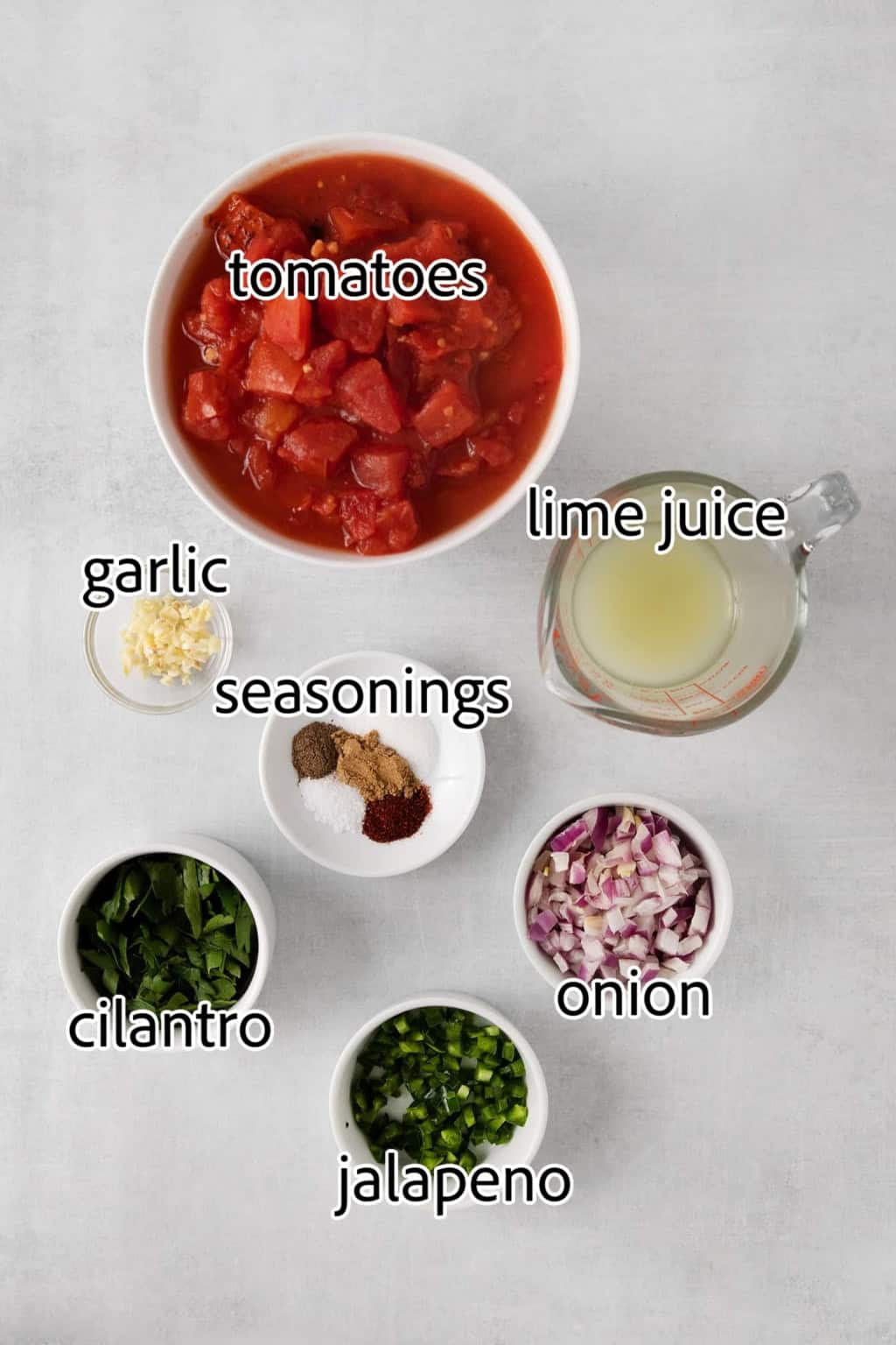 Restaurant Style Salsa (Blender Salsa) l A Farmgirl's Dabbles