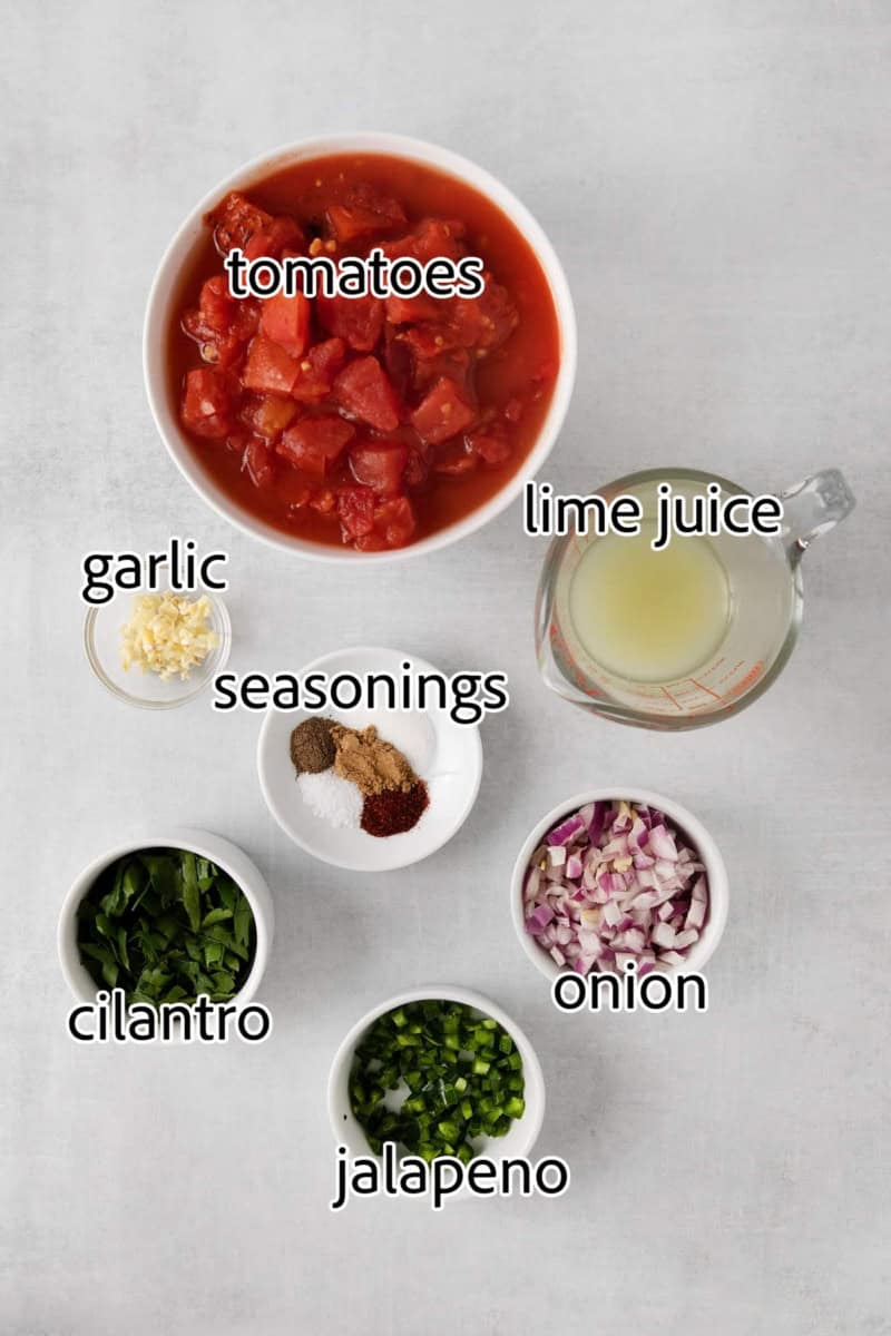 Restaurant Style Salsa (Blender Salsa) l A Farmgirl's Dabbles