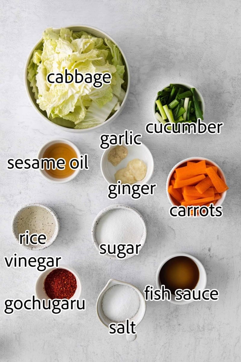Quick Kimchi Recipe l A Farmgirl's Dabbles