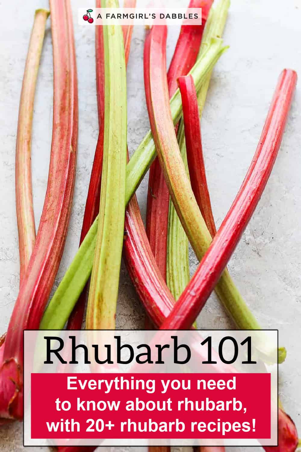 Rhubarb 101 | A Farmgirl's Dabbles