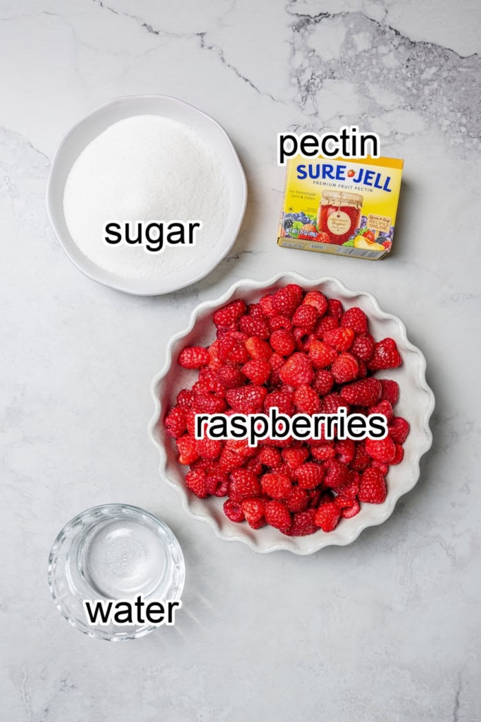 Quick & Easy Raspberry Freezer Jam | A Farmgirl's Dabbles